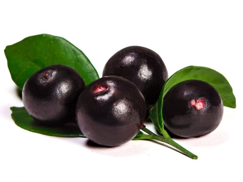 pure acai berry extract,brazilian acai extract,acai berry freeze